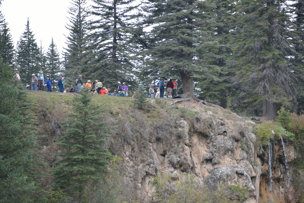 Bluff Spring - 2014 FFC